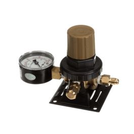T5261SN MULTIPLEX Multiplex Regulator CO2 Single Secondary